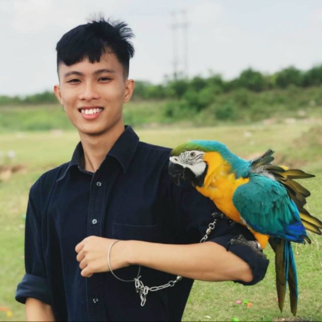 Tấn Parrot Family, Cửa hàng trực tuyến | Shopee Việt Nam