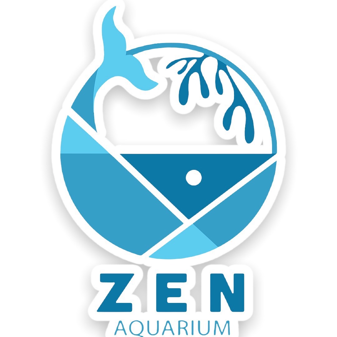 ZEN AQUARIUM, Cửa hàng trực tuyến | Shopee Việt Nam