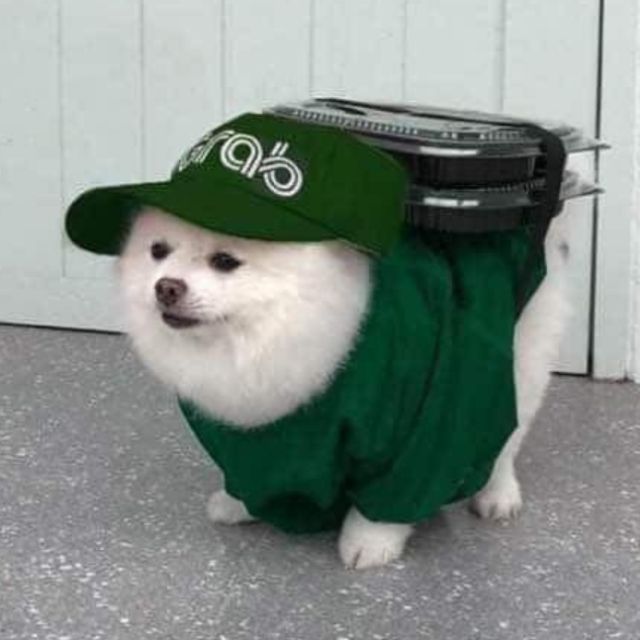 ubinie, Cửa hàng trực tuyến | Shopee Việt Nam