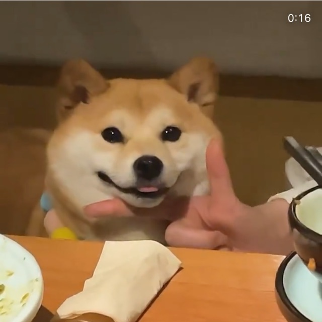 Ninaa, Cửa hàng trực tuyến | Shopee Việt Nam