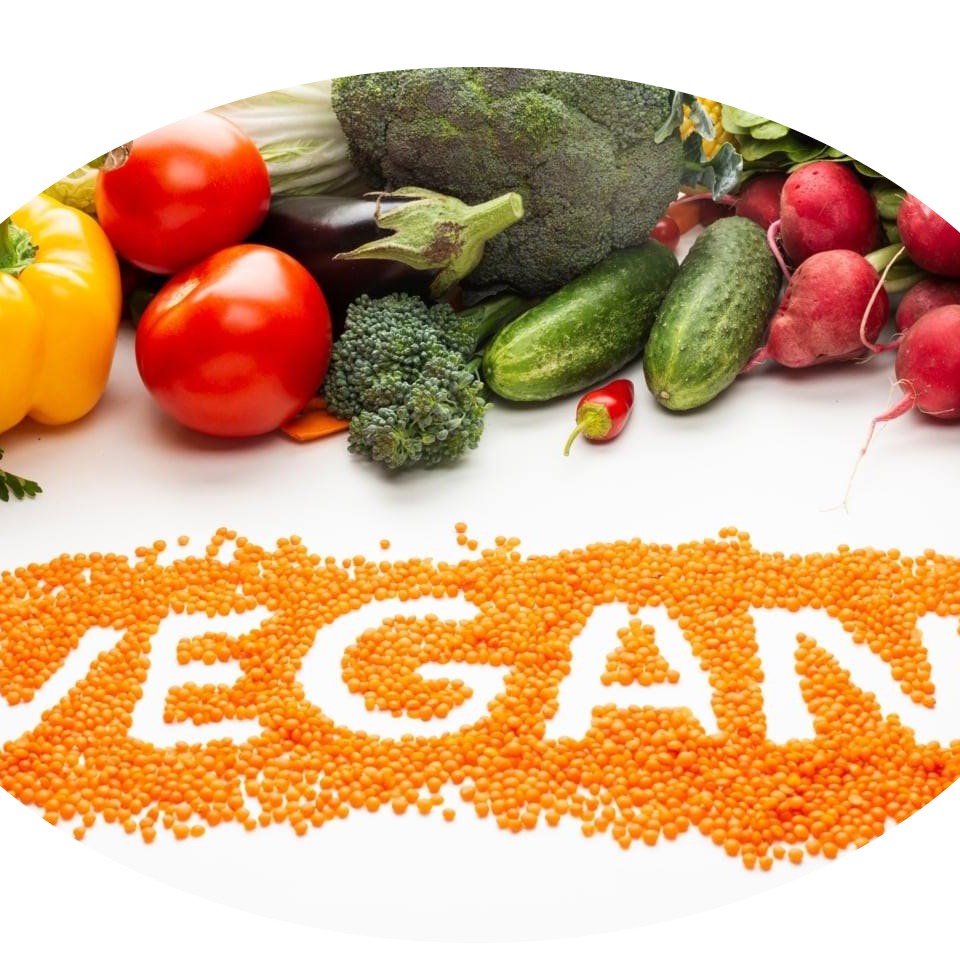 Tuệ Tâm Food, Cửa hàng trực tuyến | Shopee Việt Nam