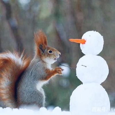 snowpy.vn, Cửa hàng trực tuyến | Shopee Việt Nam