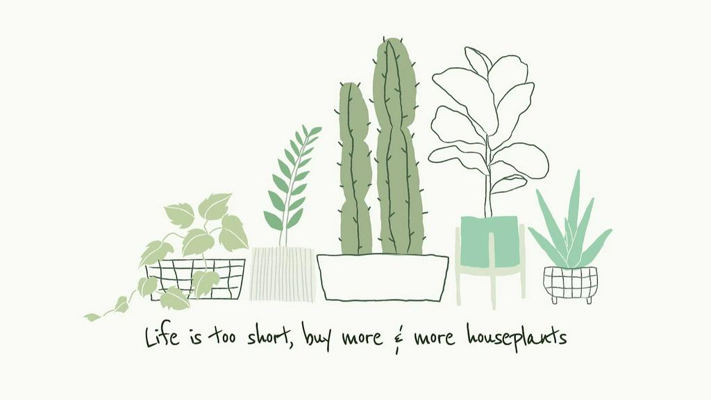 soen_shop, Cửa hàng trực tuyến | Shopee Việt Nam