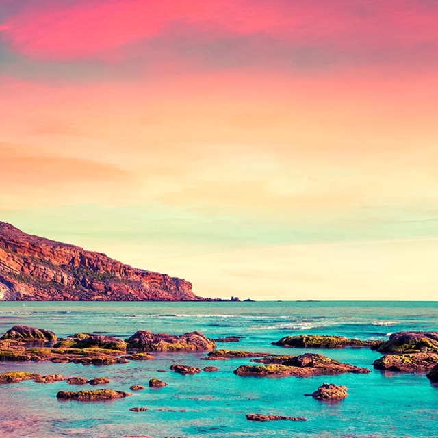 dieu.vo, Cửa hàng trực tuyến | Shopee Việt Nam