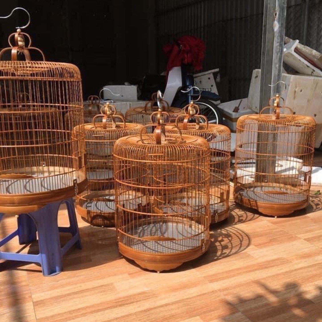 LỒNG CHIM VÁC, Cửa hàng trực tuyến | Shopee Việt Nam