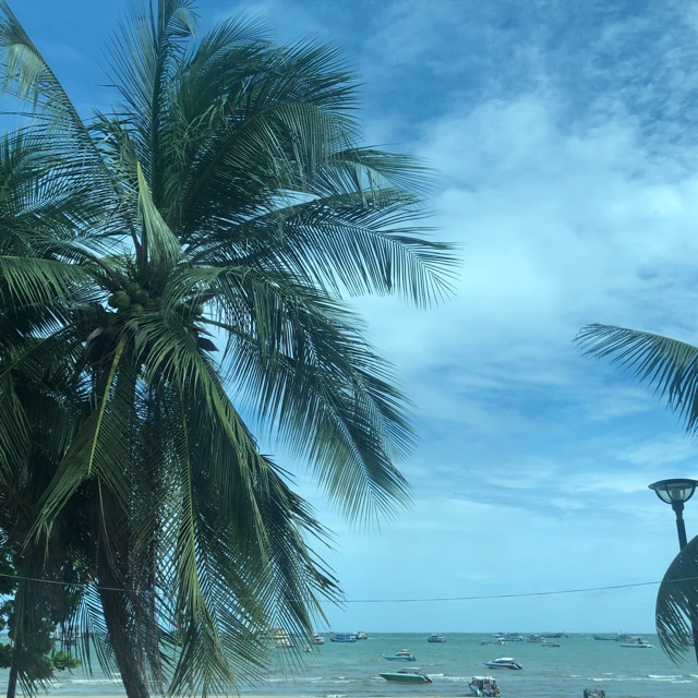 Tony Store, Cửa hàng trực tuyến | Shopee Việt Nam