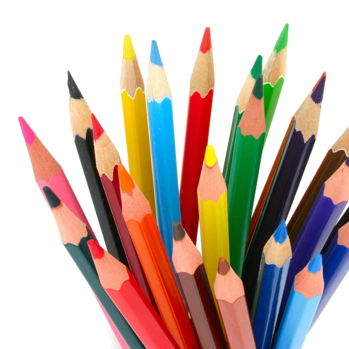 Họa Phẩm Nga Sơn, Cửa hàng trực tuyến | Shopee Việt Nam