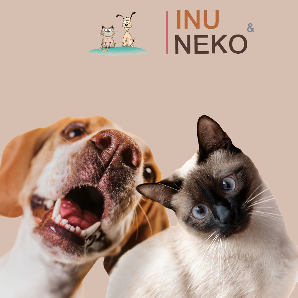 inu&neko.vn, Cửa hàng trực tuyến | Shopee Việt Nam