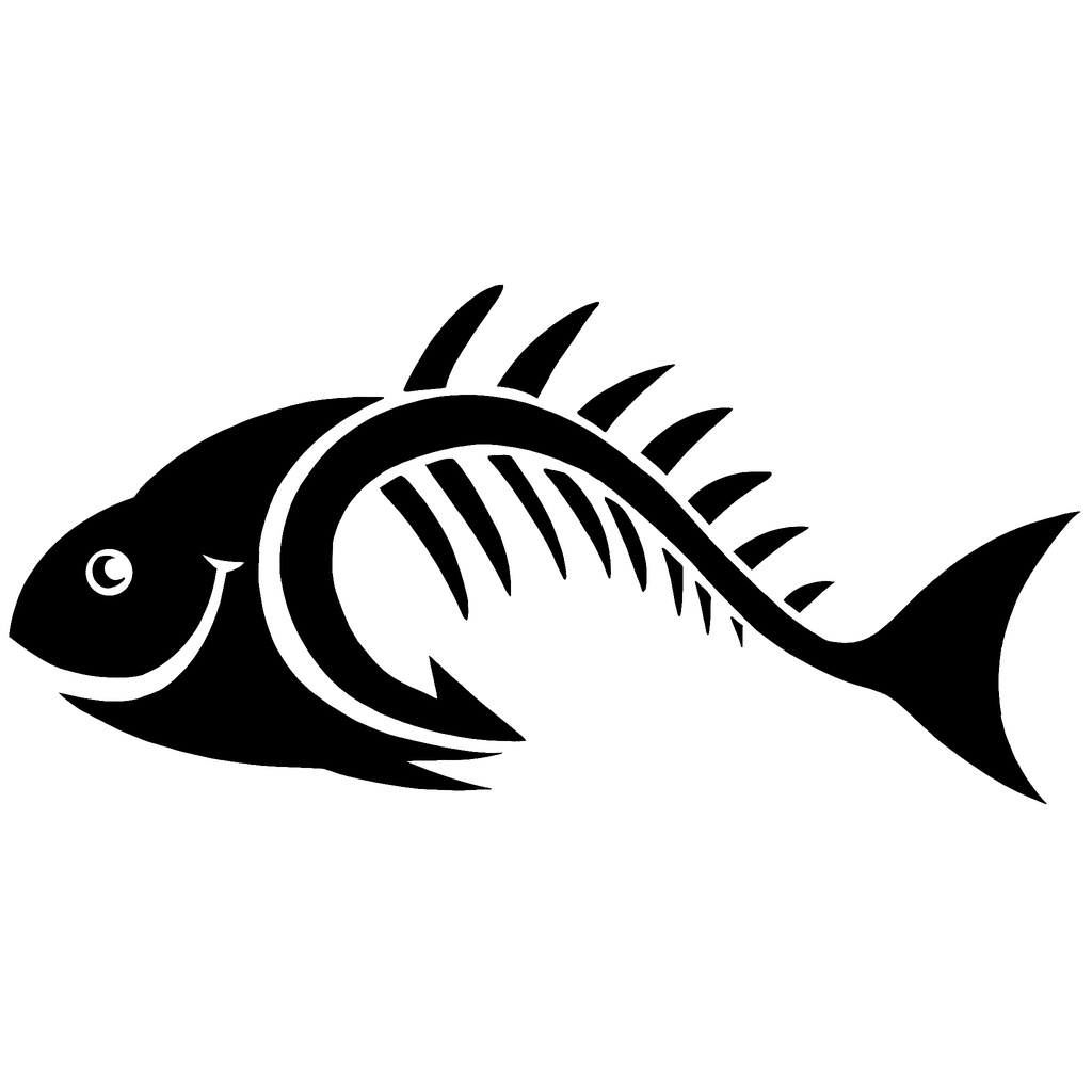 Freaky Fish, Cửa hàng trực tuyến | Shopee Việt Nam