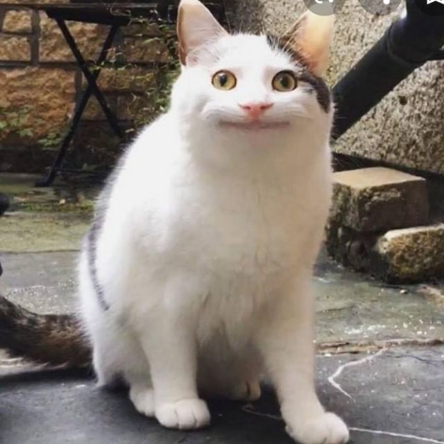 Ăn Vặt Wonzy, Cửa hàng trực tuyến | Shopee Việt Nam