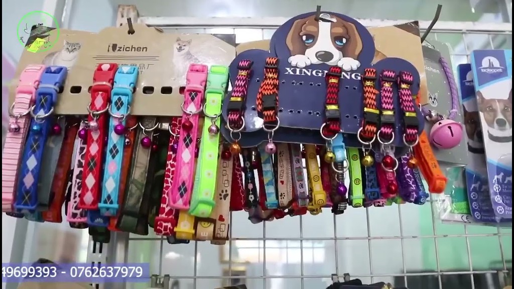 KIM PET, Cửa hàng trực tuyến | Shopee Việt Nam