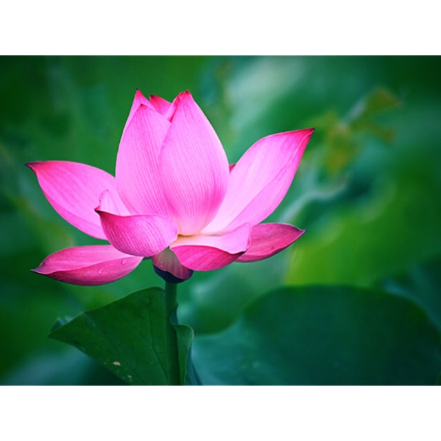 Xeko House, Cửa hàng trực tuyến | Shopee Việt Nam