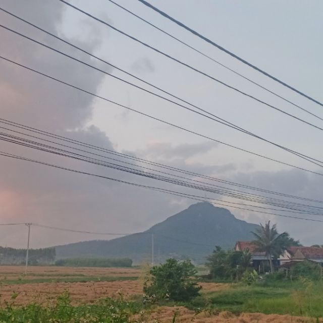 heo ốm, Cửa hàng trực tuyến | Shopee Việt Nam