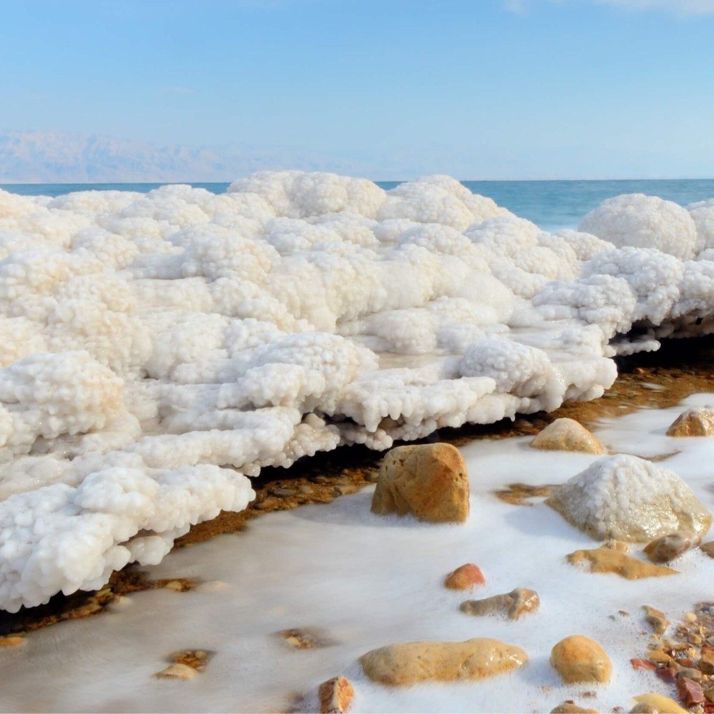 The dead sea shop, Cửa hàng trực tuyến | Shopee Việt Nam