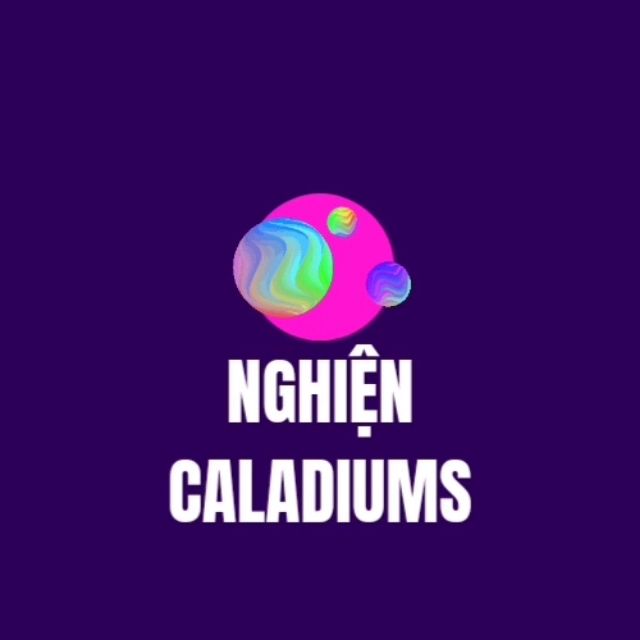 CALADIUM OFFICIAL, Cửa hàng trực tuyến | Shopee Việt Nam