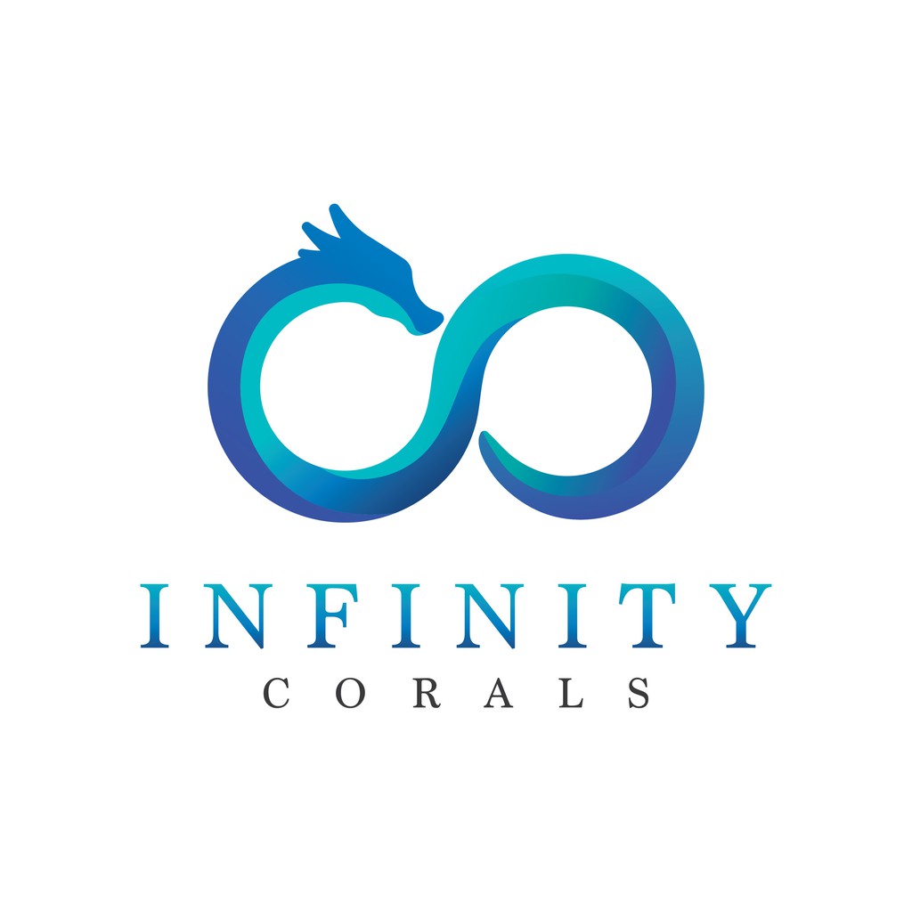 Infinity Corals, Cửa hàng trực tuyến | Shopee Việt Nam