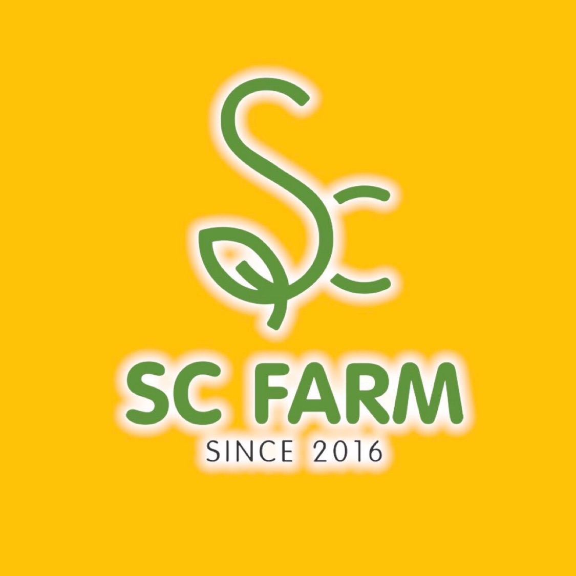 SC FARM - Healthy Foods, Cửa hàng trực tuyến | Shopee Việt Nam
