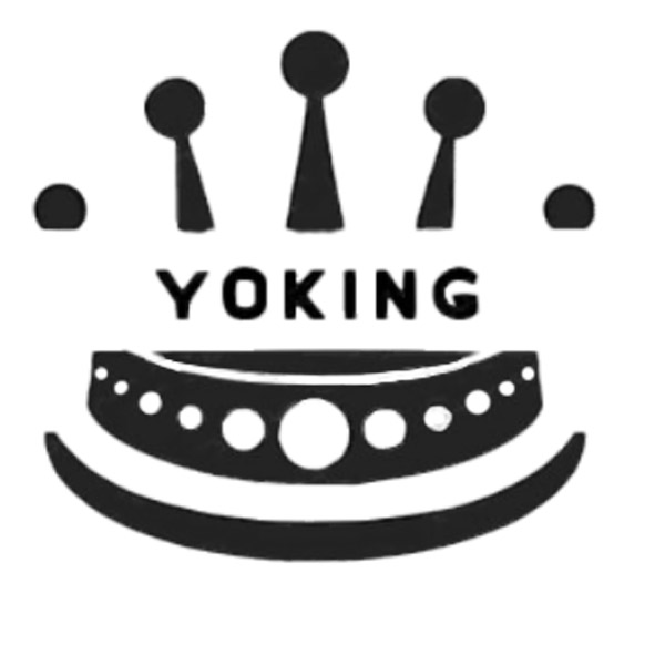 YOKING.OFFICIAL, Cửa hàng trực tuyến | Shopee Việt Nam