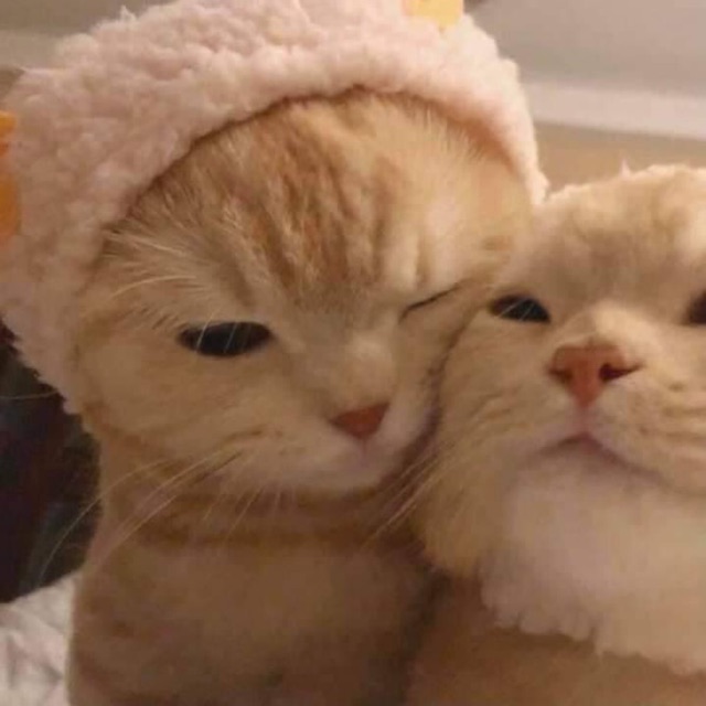 _mouse.shop7, Cửa hàng trực tuyến | Shopee Việt Nam