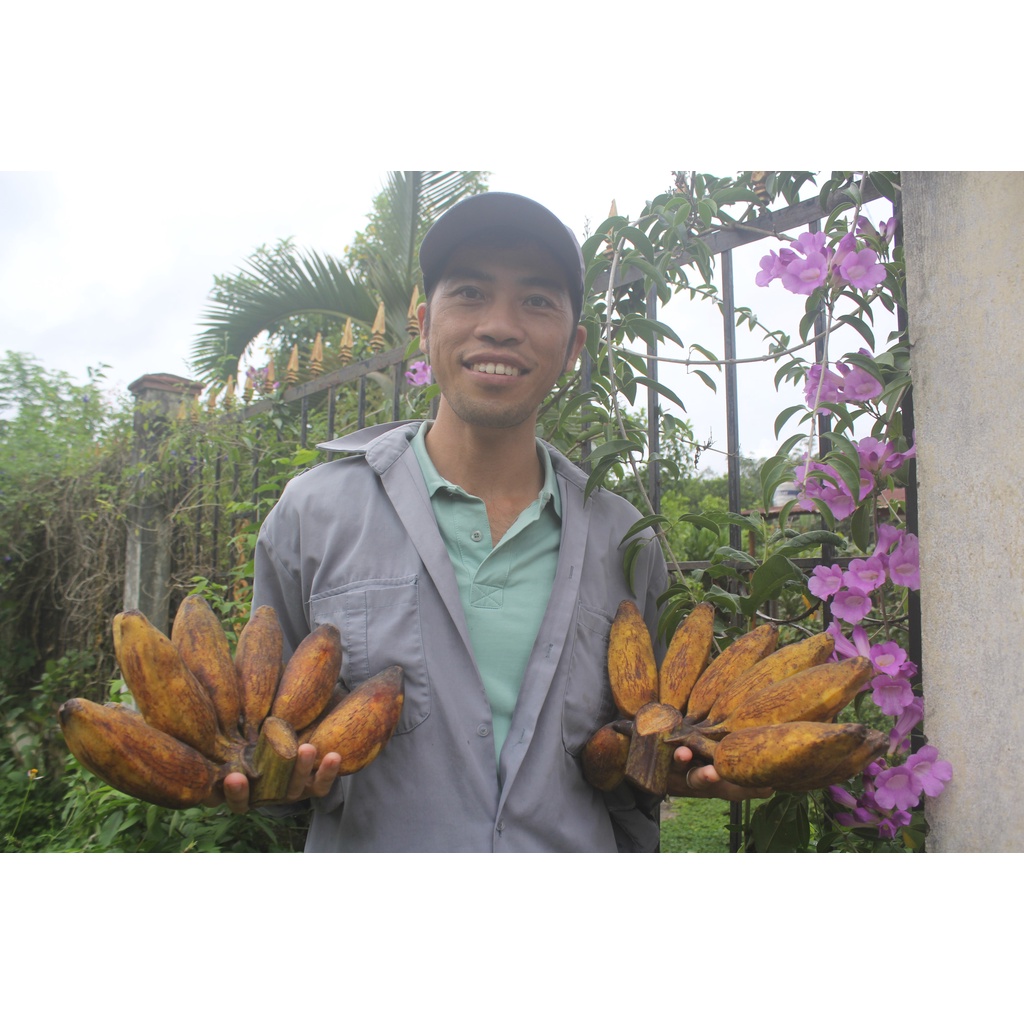 Biorava Farm, Cửa hàng trực tuyến | Shopee Việt Nam