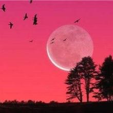 Pink Moon Cosmetics, Cửa hàng trực tuyến | Shopee Việt Nam