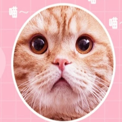 HIppets Authorized Store, Cửa hàng trực tuyến | Shopee Việt Nam