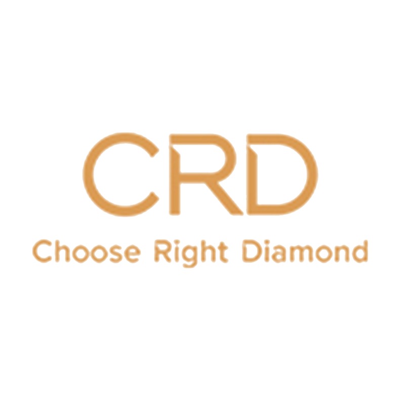 CRD Jewelry Store VN, Cửa hàng trực tuyến | Shopee Việt Nam