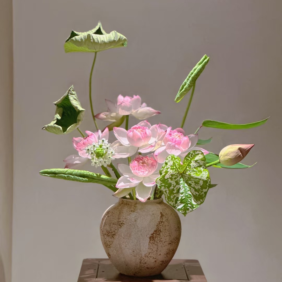 不晚Không quá muộn, Cửa hàng trực tuyến | Shopee Việt Nam