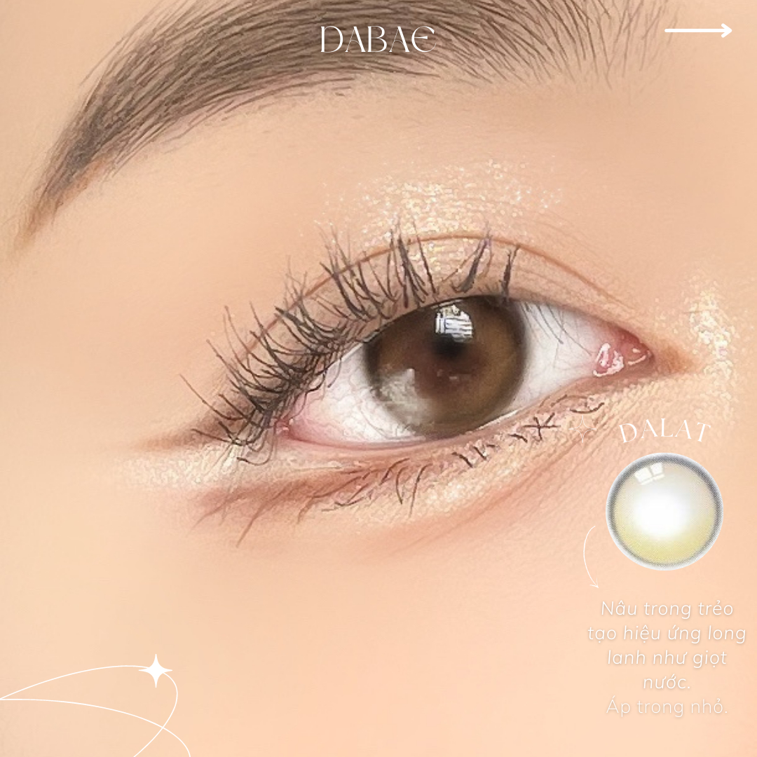 LENS DABAE, Cửa hàng trực tuyến | Shopee Việt Nam