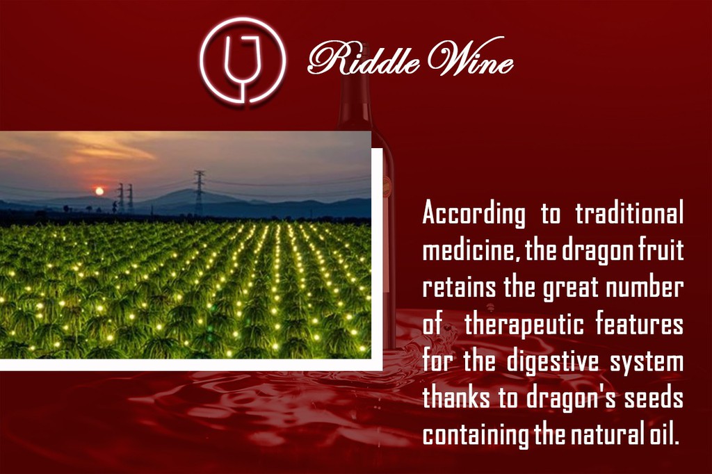 Riddle Wine, Cửa hàng trực tuyến | Shopee Việt Nam