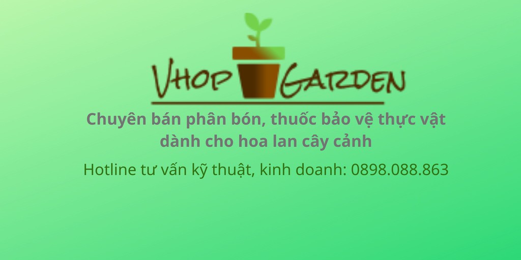 VHOP Garden, Cửa hàng trực tuyến | Shopee Việt Nam