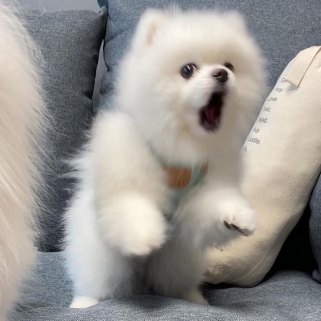 bt_map, Cửa hàng trực tuyến | Shopee Việt Nam