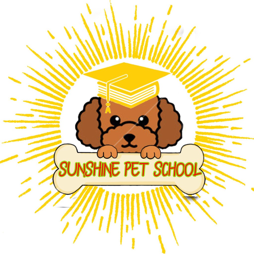Sunshine Pet shop, Cửa hàng trực tuyến | Shopee Việt Nam