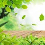 Natural Life - store, Cửa hàng trực tuyến | Shopee Việt Nam