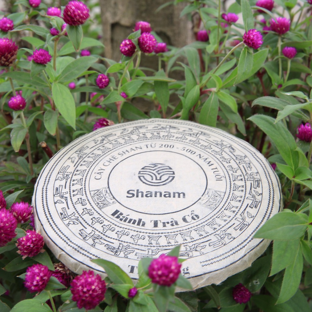 Trà Shanam cổ thụ, Cửa hàng trực tuyến | Shopee Việt Nam
