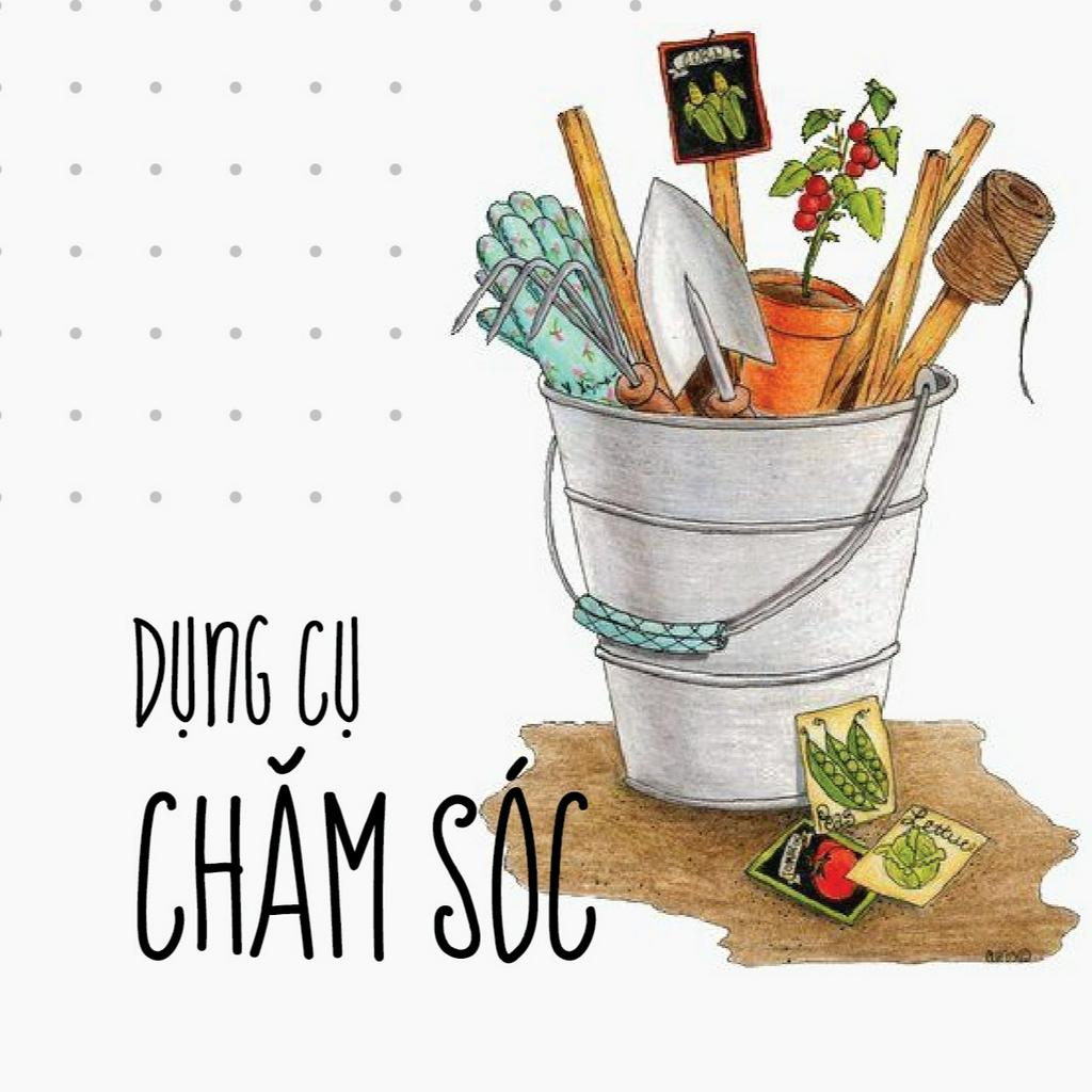 soen_shop, Cửa hàng trực tuyến | Shopee Việt Nam