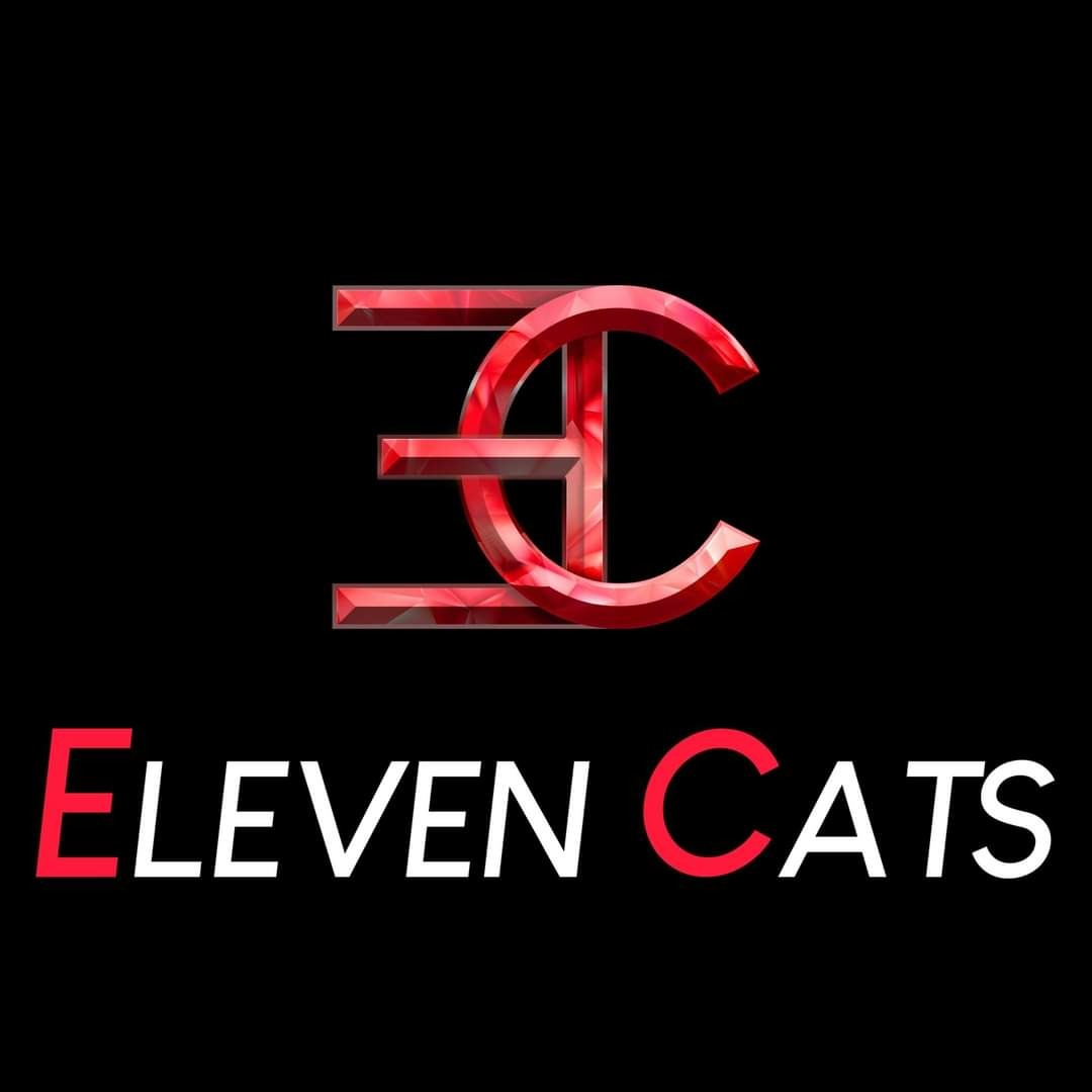 Eleven Cats, Cửa hàng trực tuyến | Shopee Việt Nam