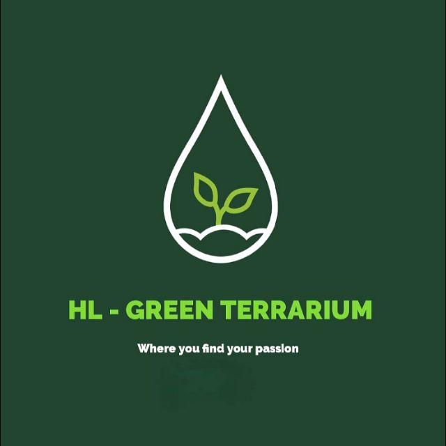 HL-Green terrarium, Cửa hàng trực tuyến | Shopee Việt Nam