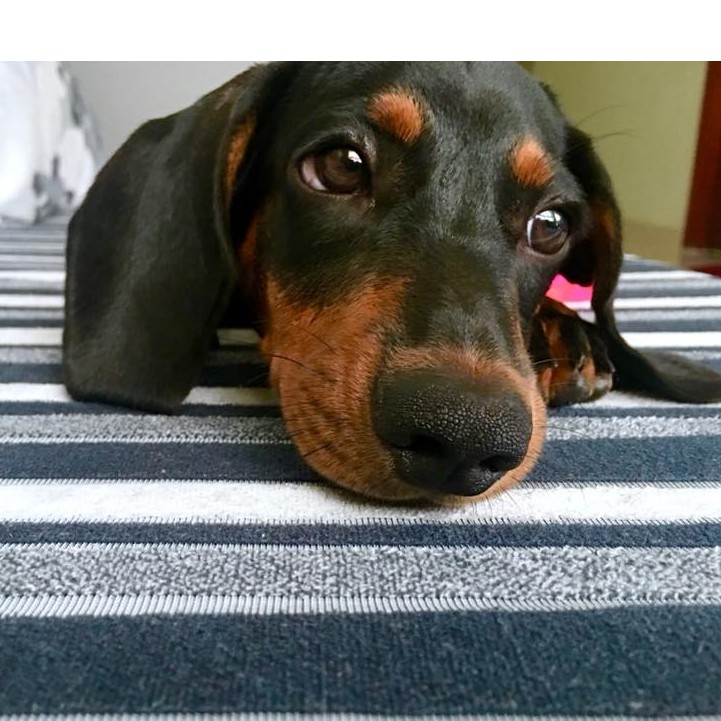 HC_shop, Cửa hàng trực tuyến | Shopee Việt Nam