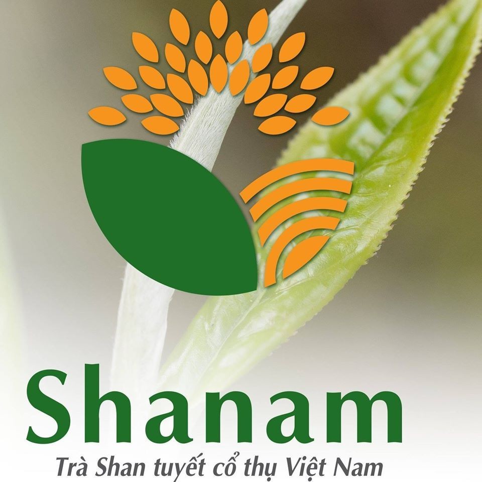 Trà Shan tuyết cổ thụ Shanam, Cửa hàng trực tuyến | Shopee Việt Nam