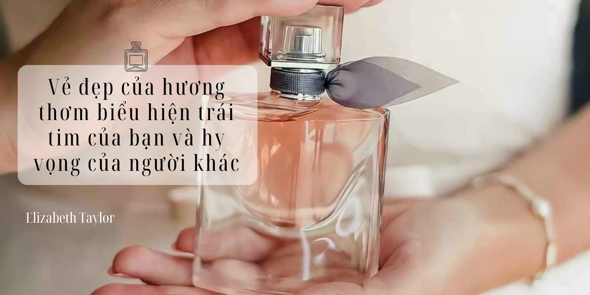 DH Perfume, Cửa hàng trực tuyến | Shopee Việt Nam