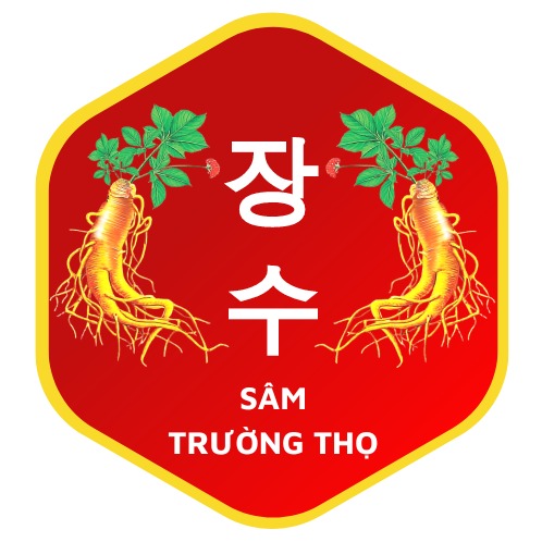 Sâm Trường Thọ - Daedong, Cửa hàng trực tuyến | Shopee Việt Nam