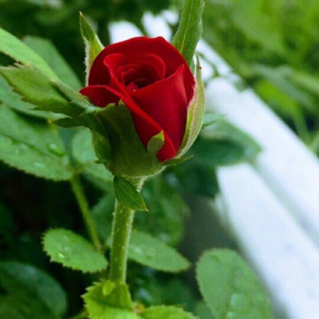 begao_shop, Cửa hàng trực tuyến | Shopee Việt Nam