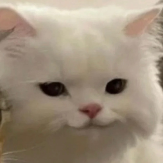 xiaonei, Cửa hàng trực tuyến | Shopee Việt Nam