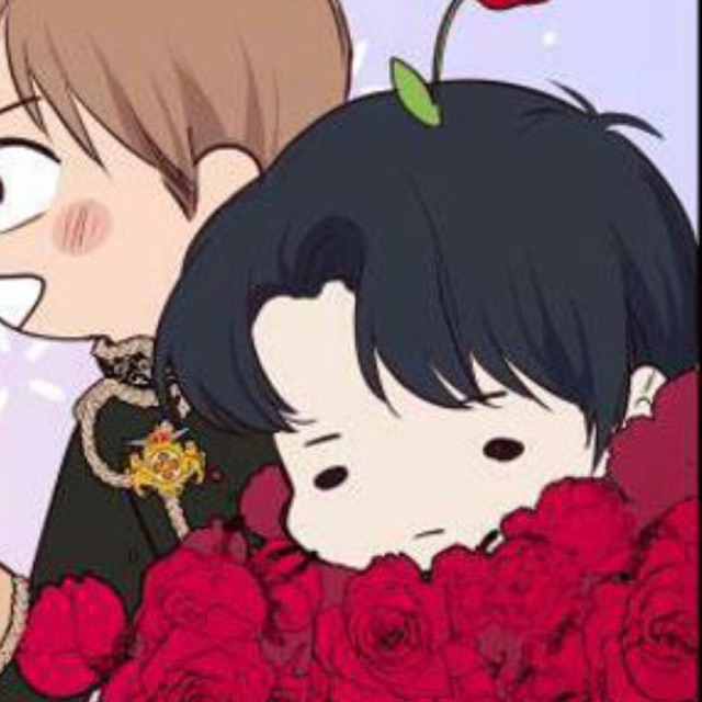 Sushe, Cửa hàng trực tuyến | Shopee Việt Nam