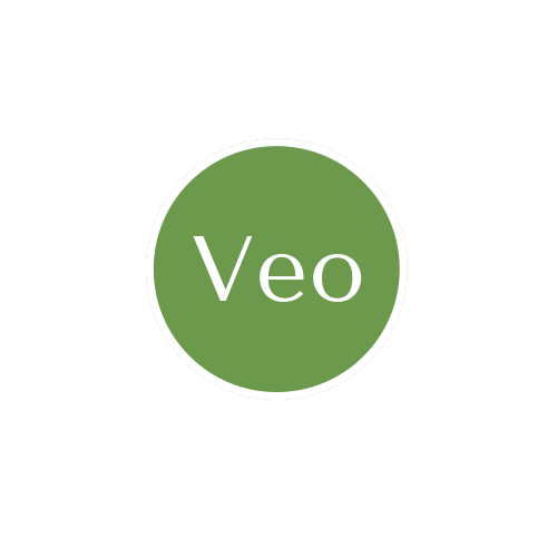 Veo_Shop, Cửa hàng trực tuyến | Shopee Việt Nam