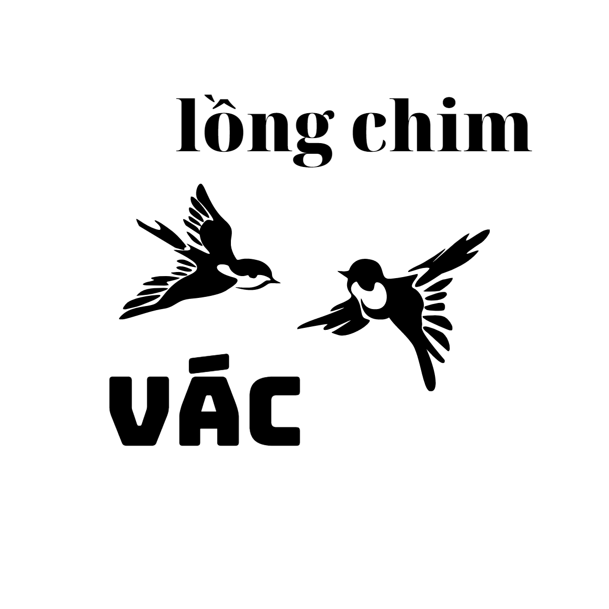 Lồng Chim Vác - Phụ Kiện Lồng, Cửa hàng trực tuyến | Shopee Việt Nam