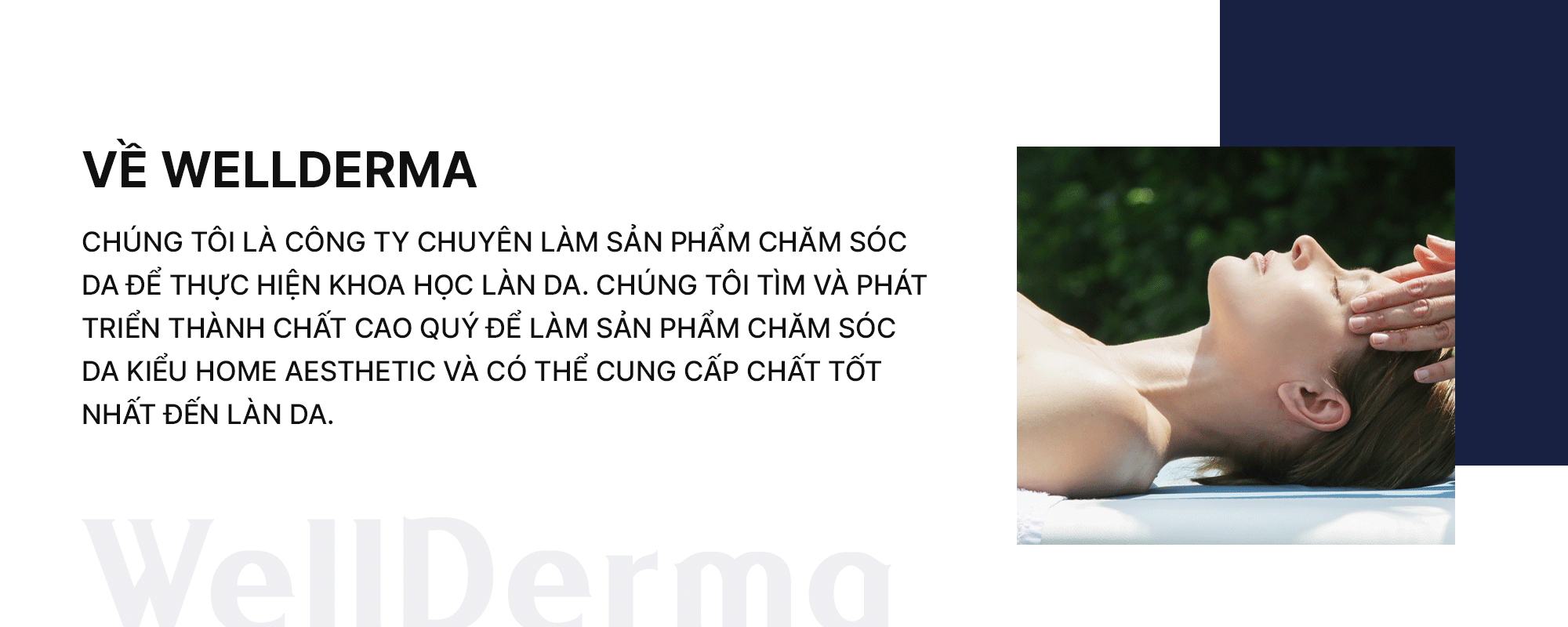 WellDerma Official Store - Shopee Mall Online | Shopee Việt Nam