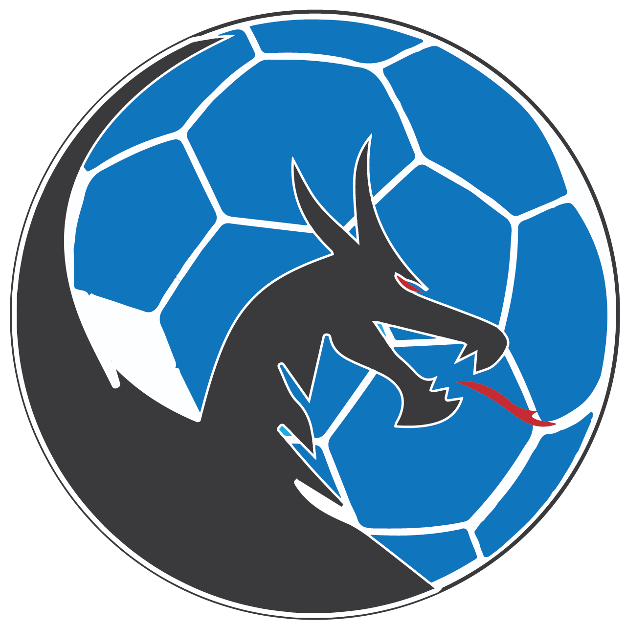 Dragon Football, Cửa hàng trực tuyến | Shopee Việt Nam