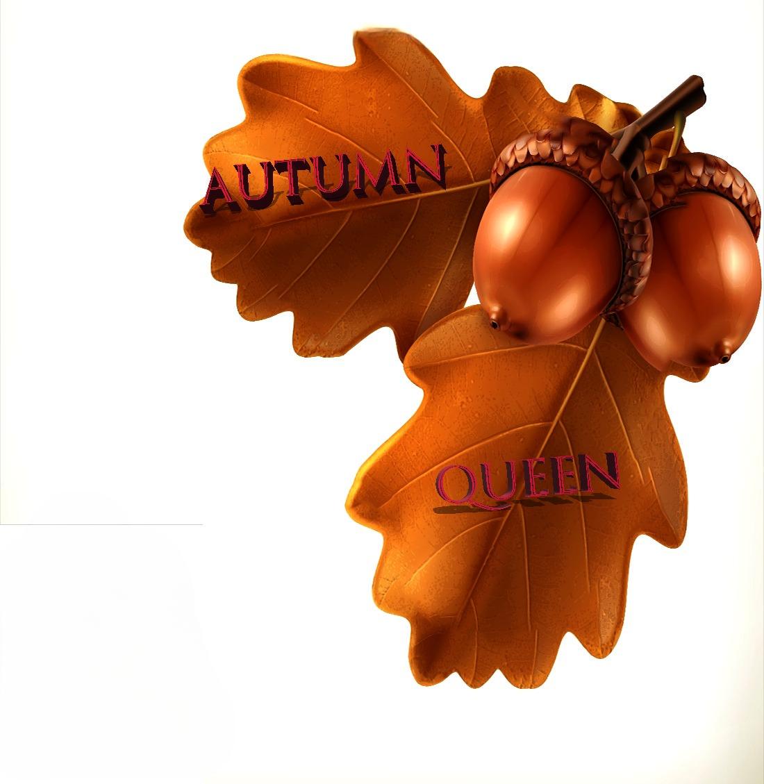 The Autumn Queen Fashion, Cửa hàng trực tuyến | Shopee Việt Nam